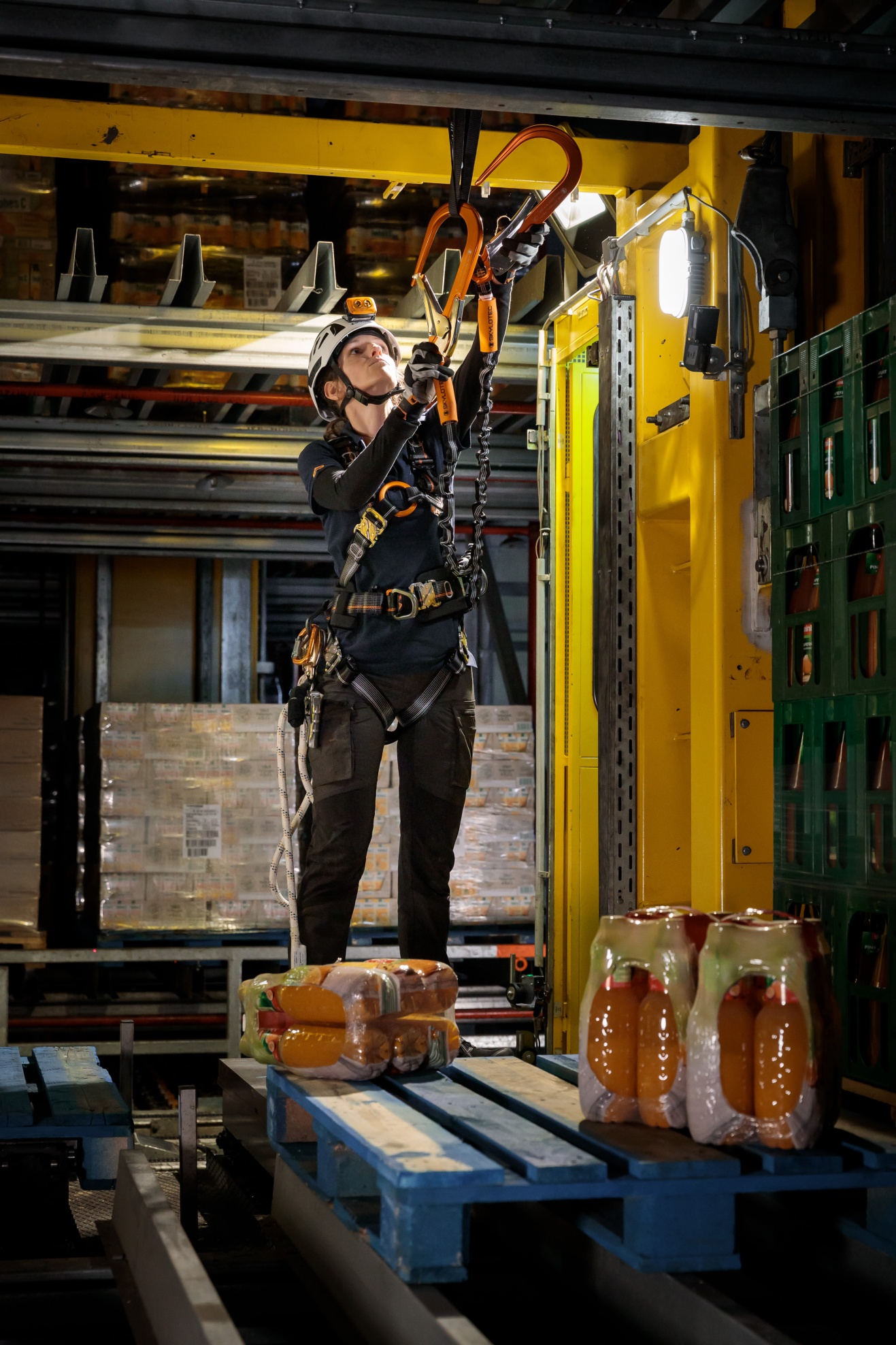 SKYSAFE PRO FLEX Y kaufen